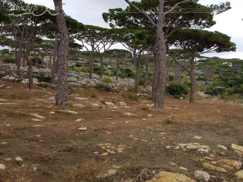 Lands For Sale in Ras Al Maten, Baabda, Mount Lebanon, Lebanon ...