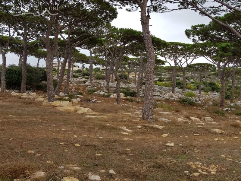 Lands For Sale in Ras Al Maten, Baabda, Mount Lebanon, Lebanon ...