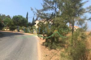 Lands For Sale in Ras Maska, El Koura, North, Lebanon - 15344000000 ...